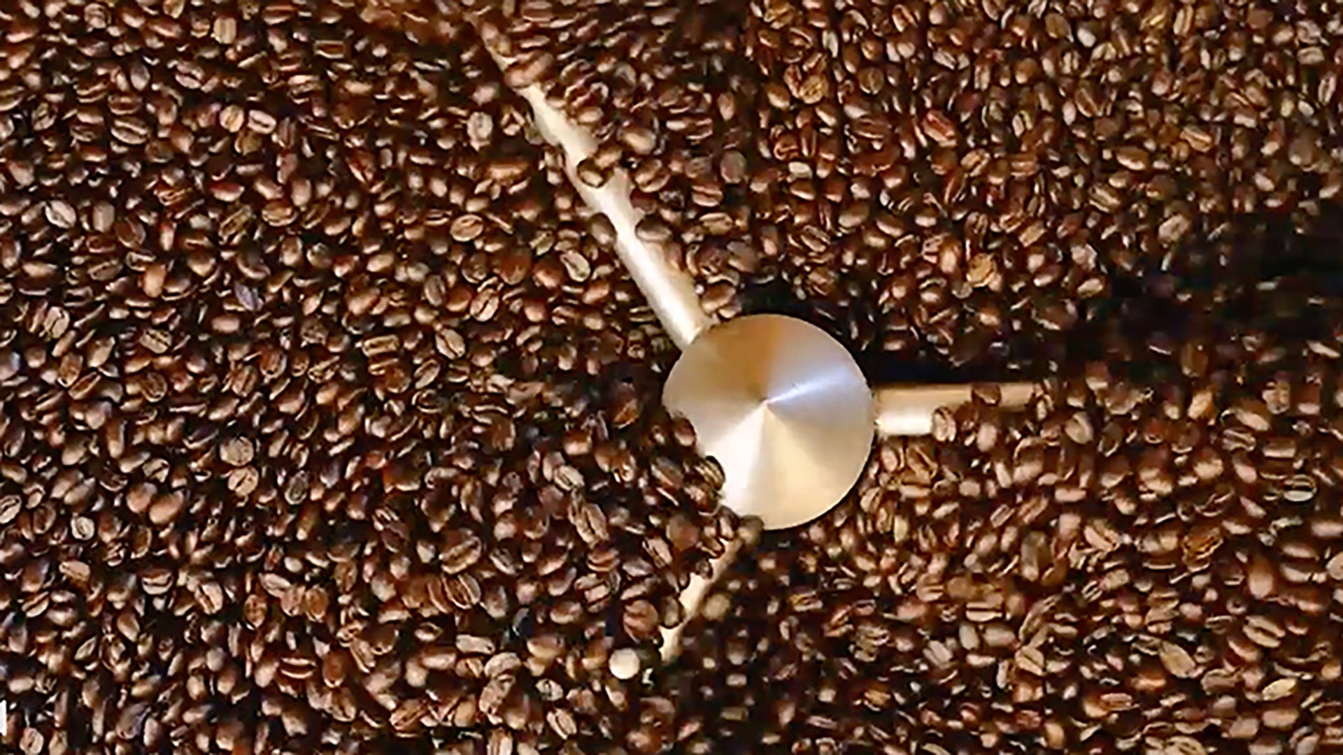 Ryan Bros Online Store, Craft Coffee Beans, Tea, and Cocoa Powder ...